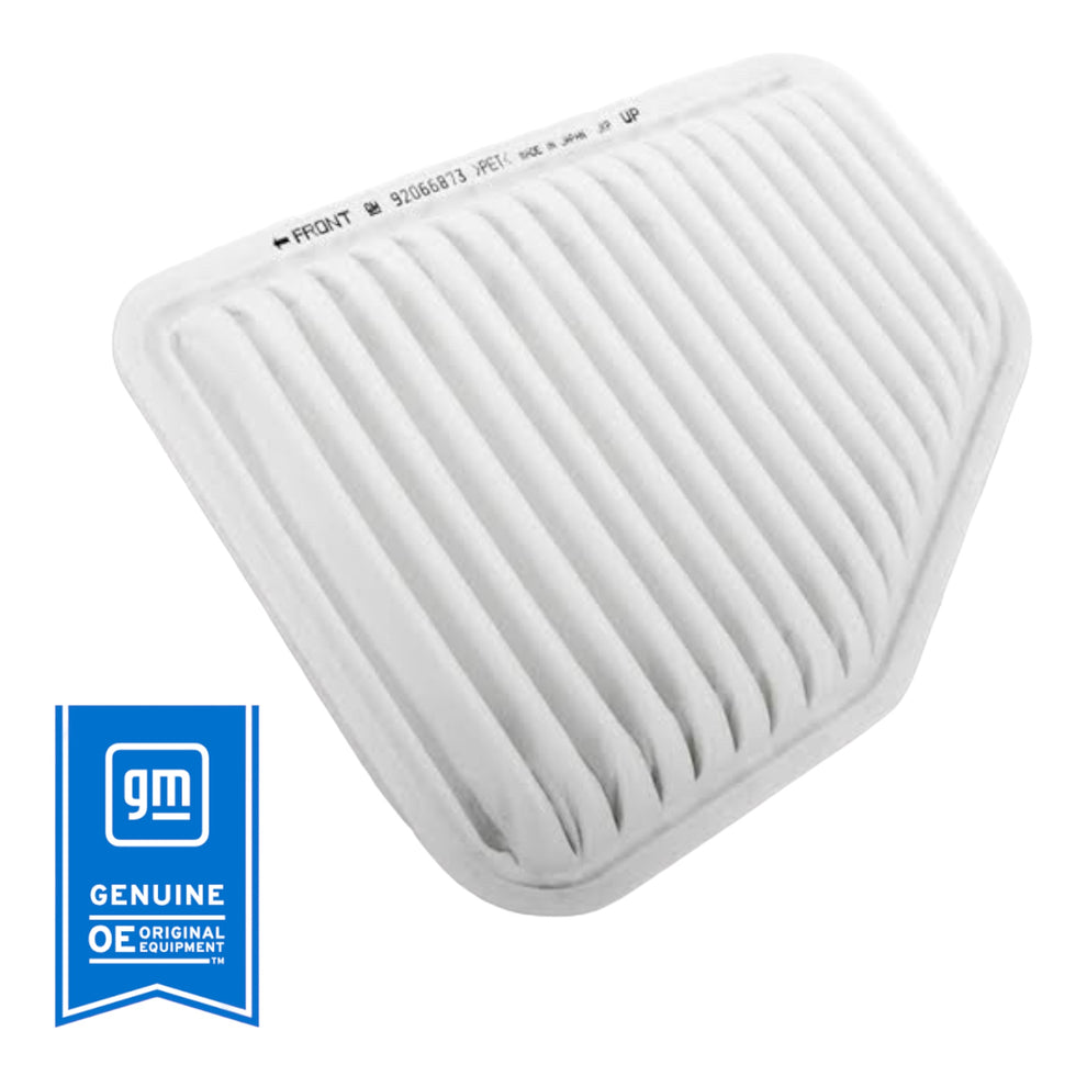 Genuine GM AcDelco VE-VF Commodore V6-V8 Air Filter 92066873 – Gearhead ...