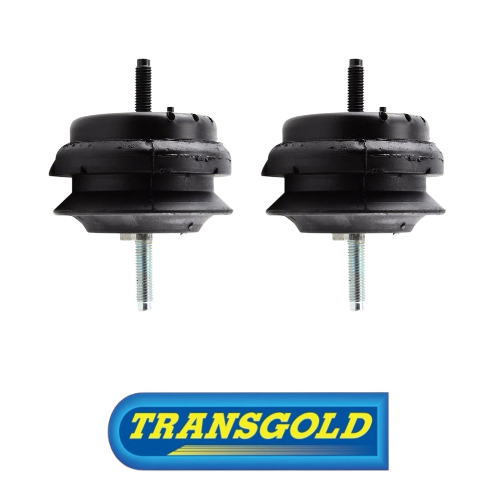 Transgold VT, WH, VX,VU, And VY LS1 Engine Mount TEM1389 – Gearhead ...
